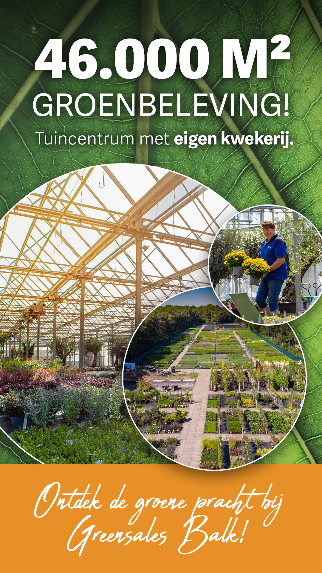 Tuincentrum GreenSales in Friesland - groot groencentrum met eigen kwekerij