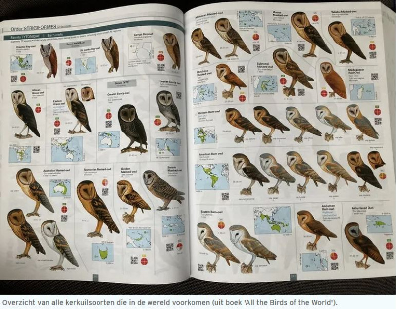 De kerkuil: Een mysterieus wezen en zijn rol in het ecosysteem