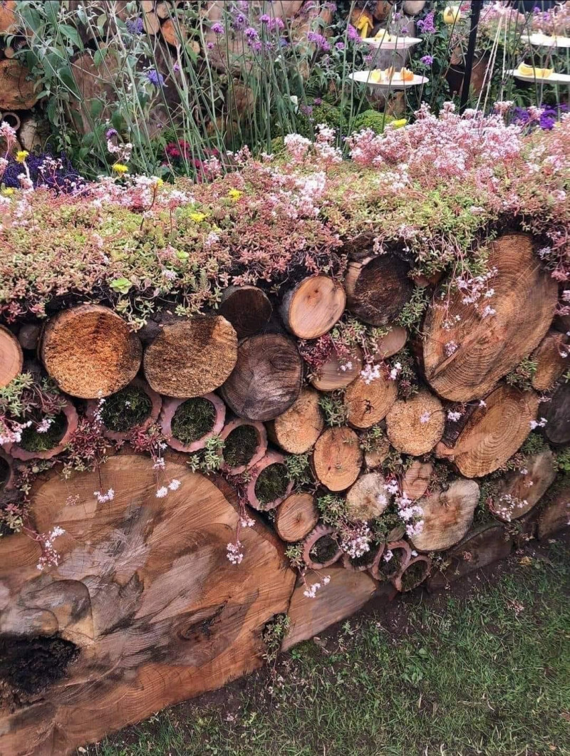 Houten boomstammen muur met sedum begroeiing