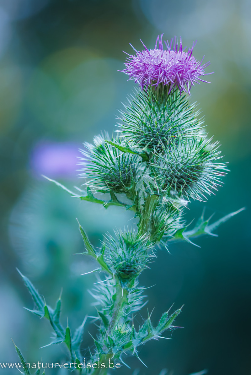 Hier wordt er van alles mogelijk!