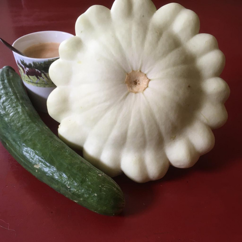 Patisson een nichtje van .........