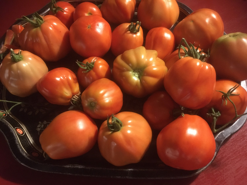 Zaad voor je tuin een gemeengoed? Of straks nog slechts een paar ...
